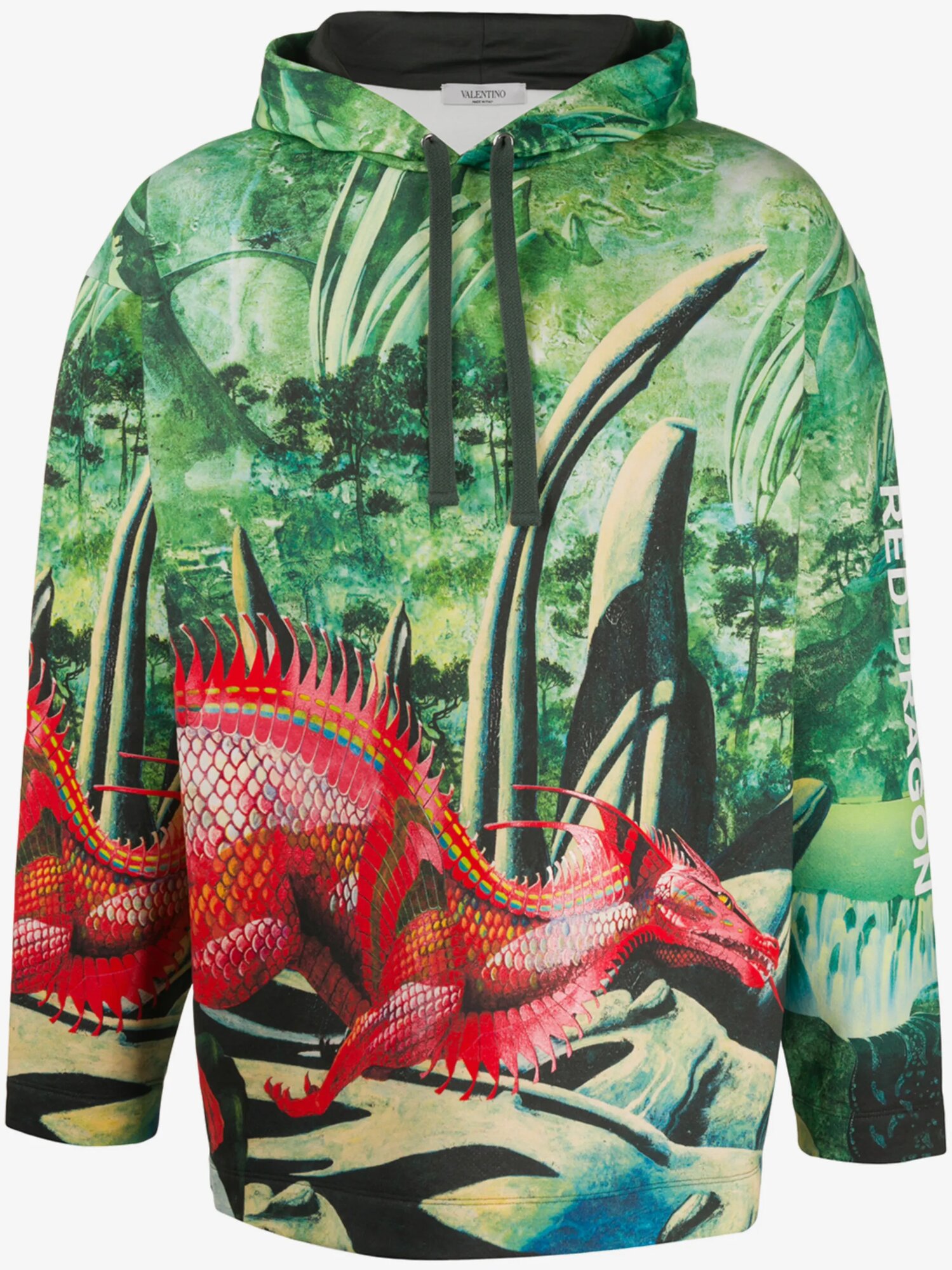 Худи Red Dragon