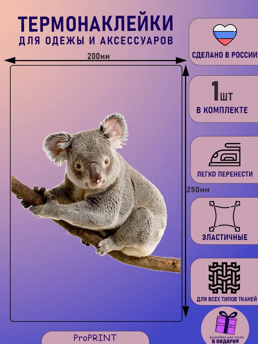 Термонаклейка на одежду