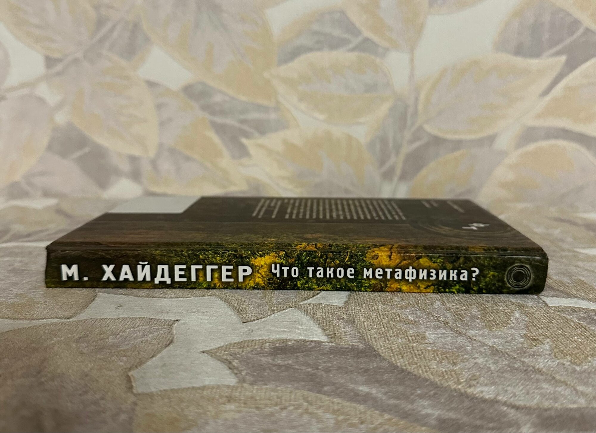 Что такое метафизика? — фото 1