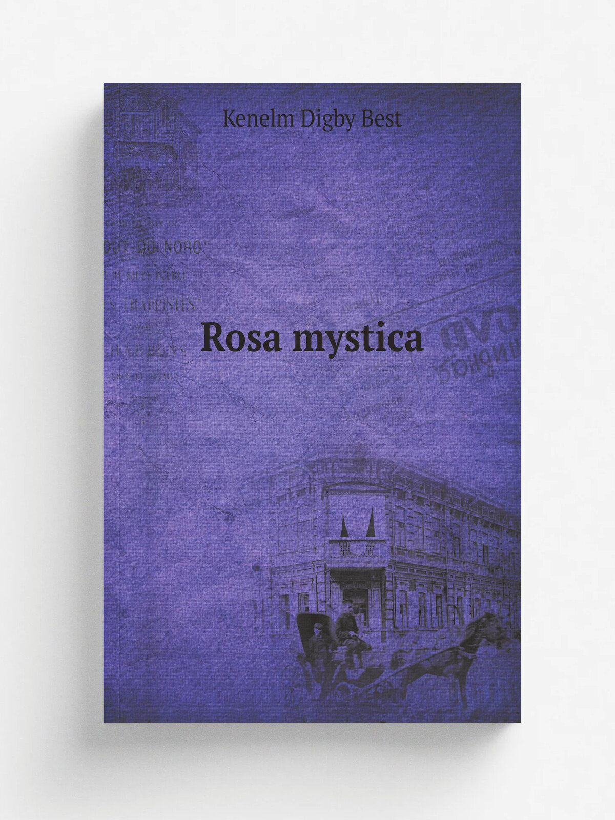 "Rosa mystica: the 15 mysteries of the most holy rosary and other joys, sorrows and glories of Mary : illustrated with copies of the rosary frescoes …