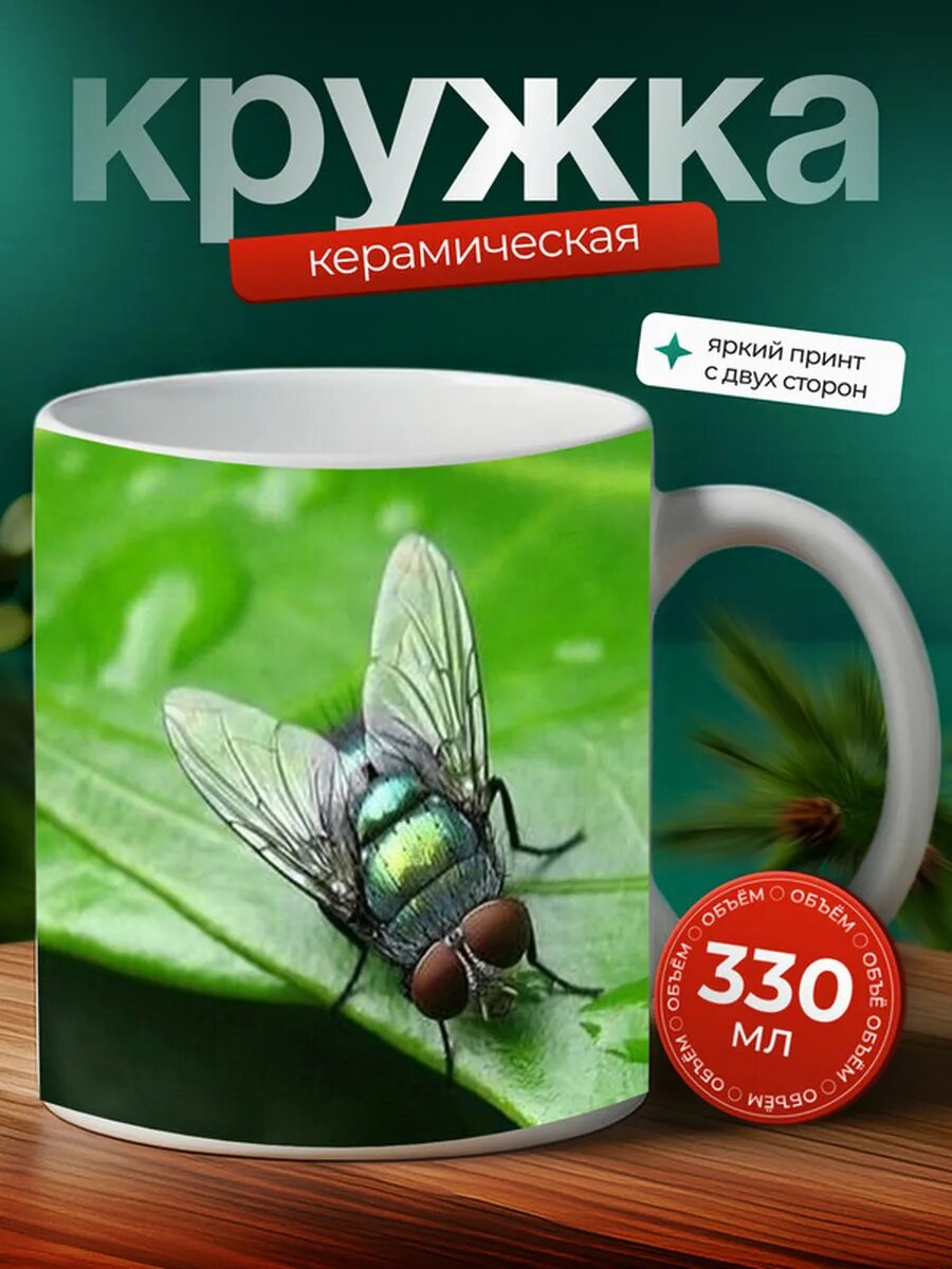 Кружка Муха комнатная насекомое,