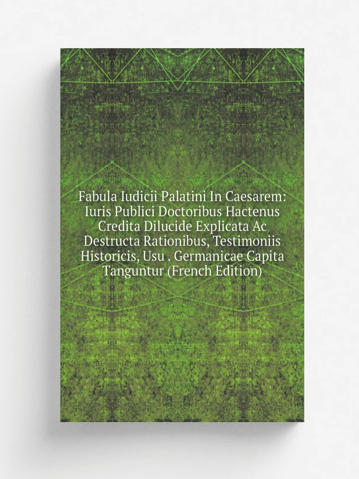 Fabula Iudicii Palatini In Caesarem: Iuris Publici Doctoribus Hactenus Credita Dilucide Explicata Ac Destructa Rationibus, Testimoniis Historicis, Us…
