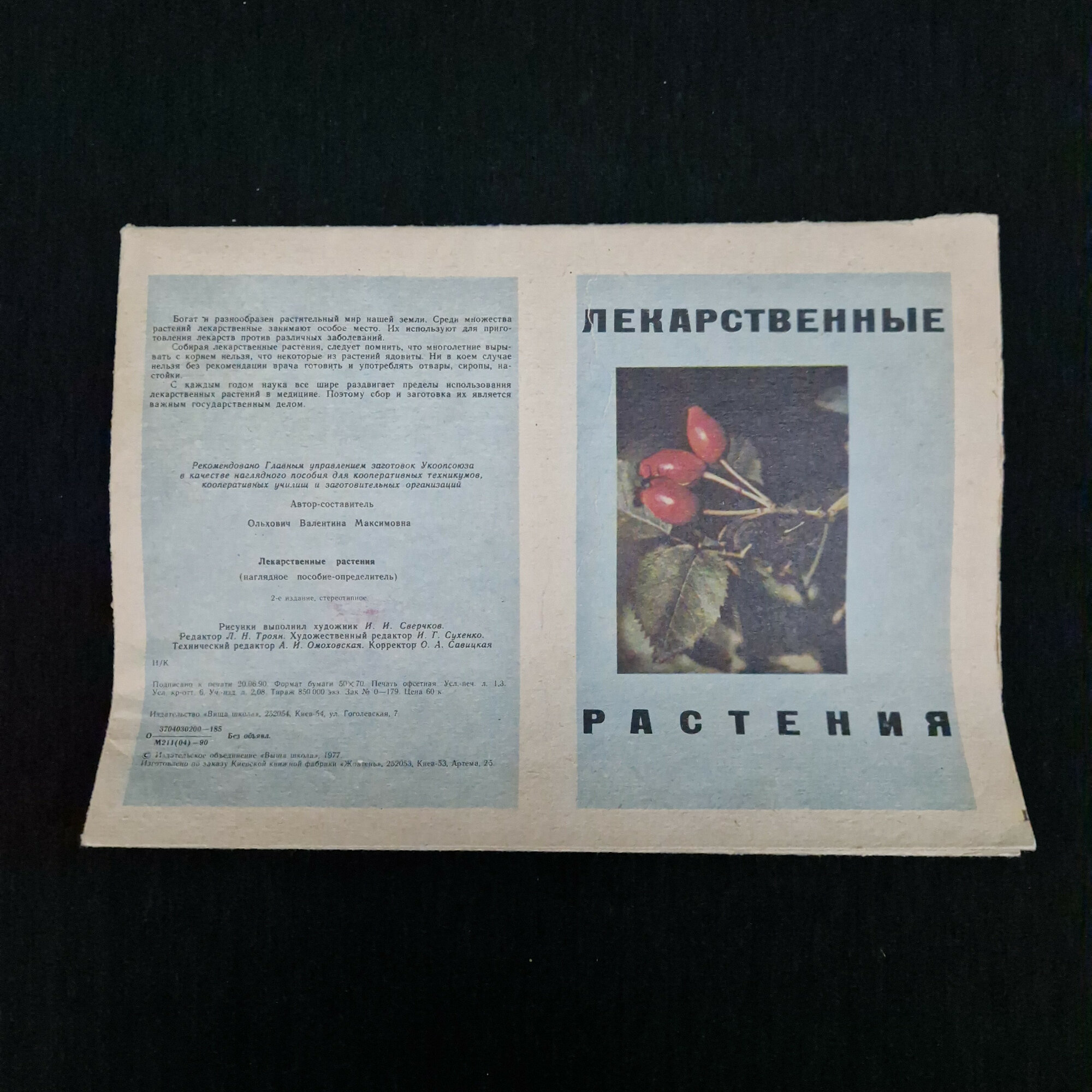 Плакат винтажный, СССР. Лекарственные растения