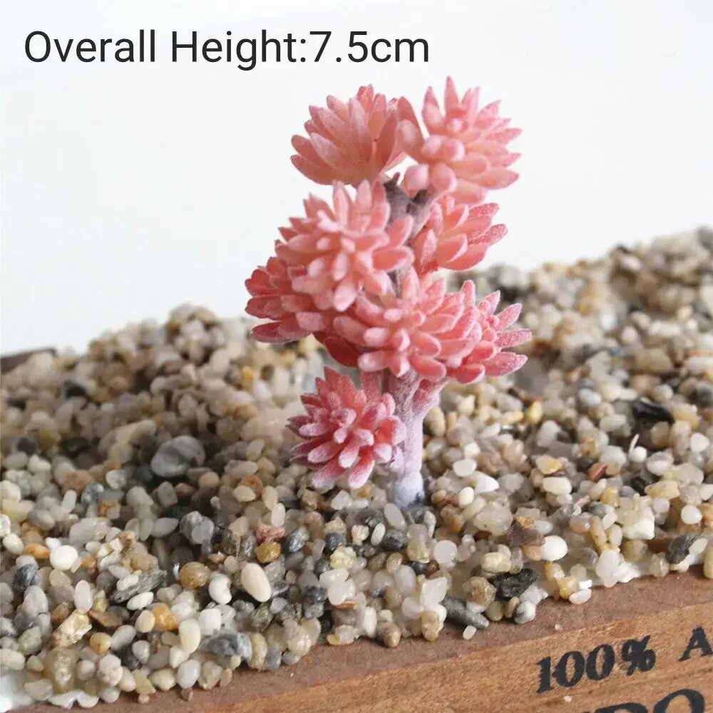 Искусственные суккуленты Wusmart BONSAI FR Bo Xue Cao