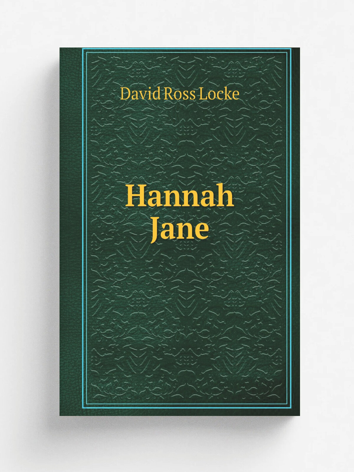 Hannah Jane | David Ross Locke | 1882 | Boston, Lee and Shepard; New York, C. T. Dillingham | Репринт