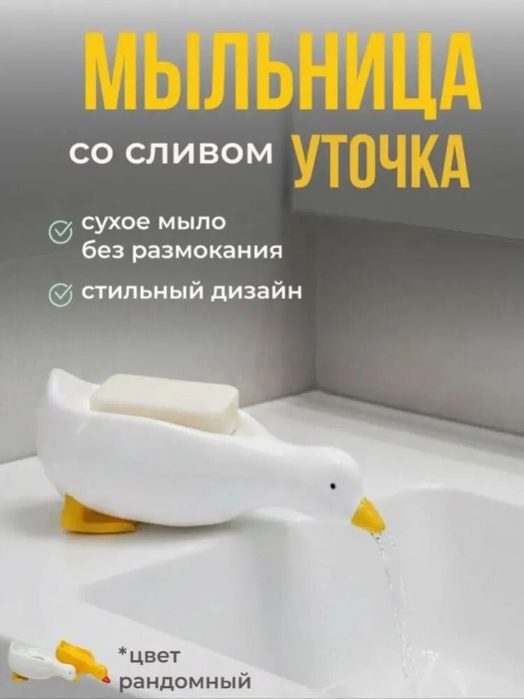 Мыльница