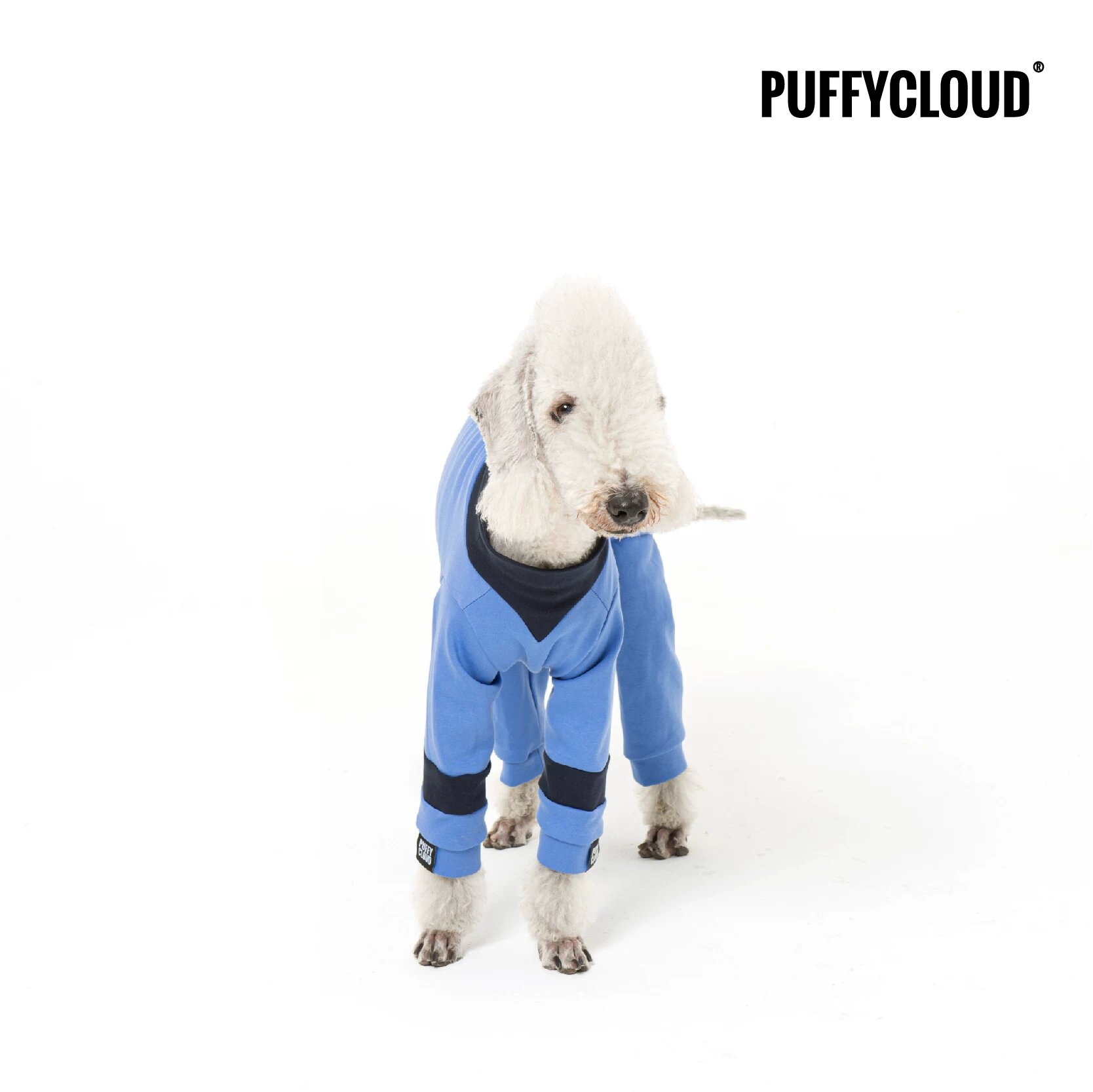 PUFFYCLOUD Бигль Спортивная Полосатая Футболка для Собак Темно-Синий/Фиолетовый XS