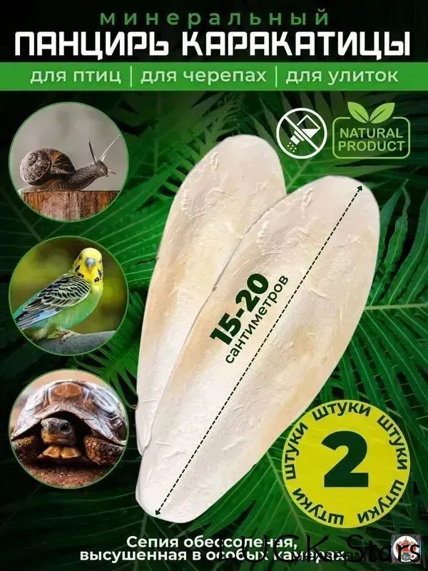 Сепия 2 шт- Панцирь каракатицы, 15-20см.