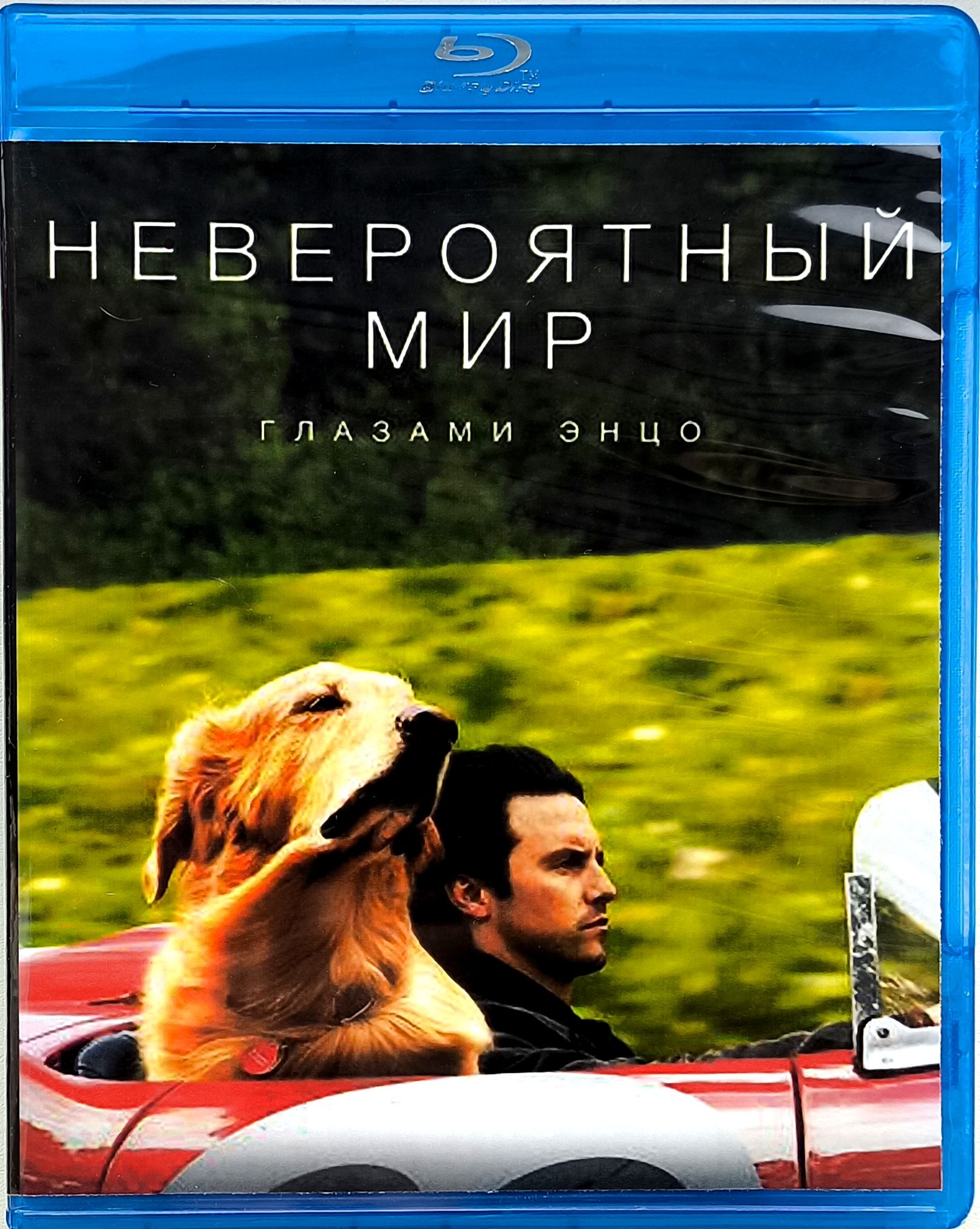 Невероятный мир глазами Энцо. Blu-ray. Фильм 2019 года. Комедия, драма, мелодрама, семейный.