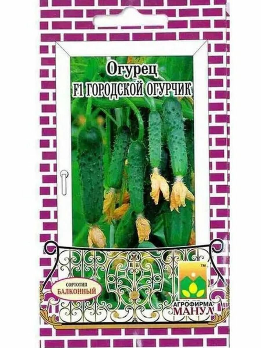 Семена огурцов Городской огурчик 10 шт, для балконов, лоджий, веранд