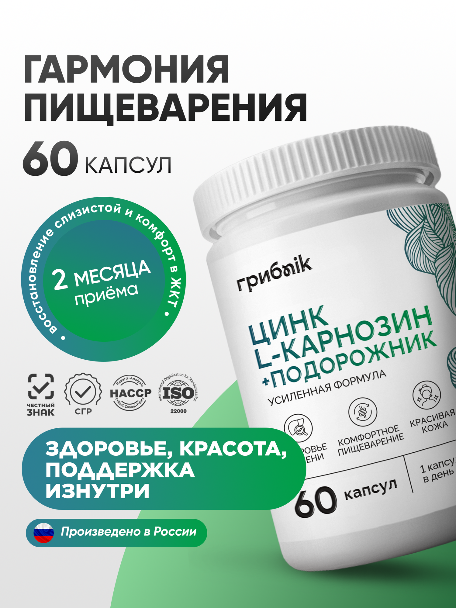 Цинк + Карнозин ( Цинк L карнозин ) гастро для желудка и кишечника, от изжоги, гастрита и язвы, 60 капсул, ГрибNik