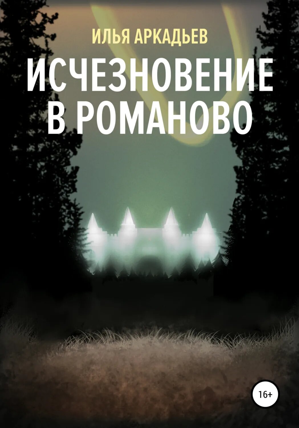 Исчезновение в Романово [Цифровая книга]