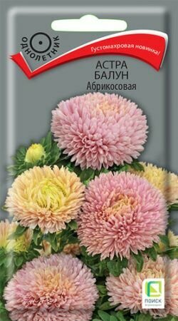 Семена Астра "Балун Абрикосовая" густомахровая "Поиск"