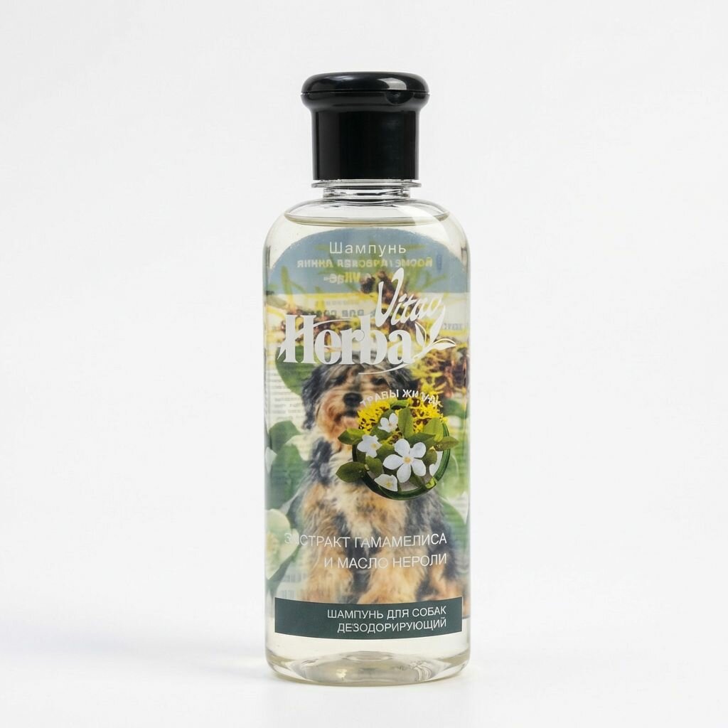 Herba Vitae, Шампунь дезодорирующий гамамелиса, 250г, Россия