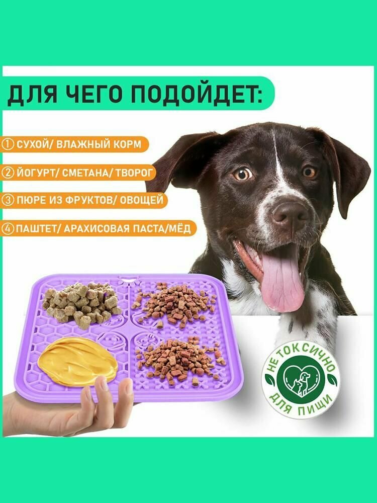 Миска для животных