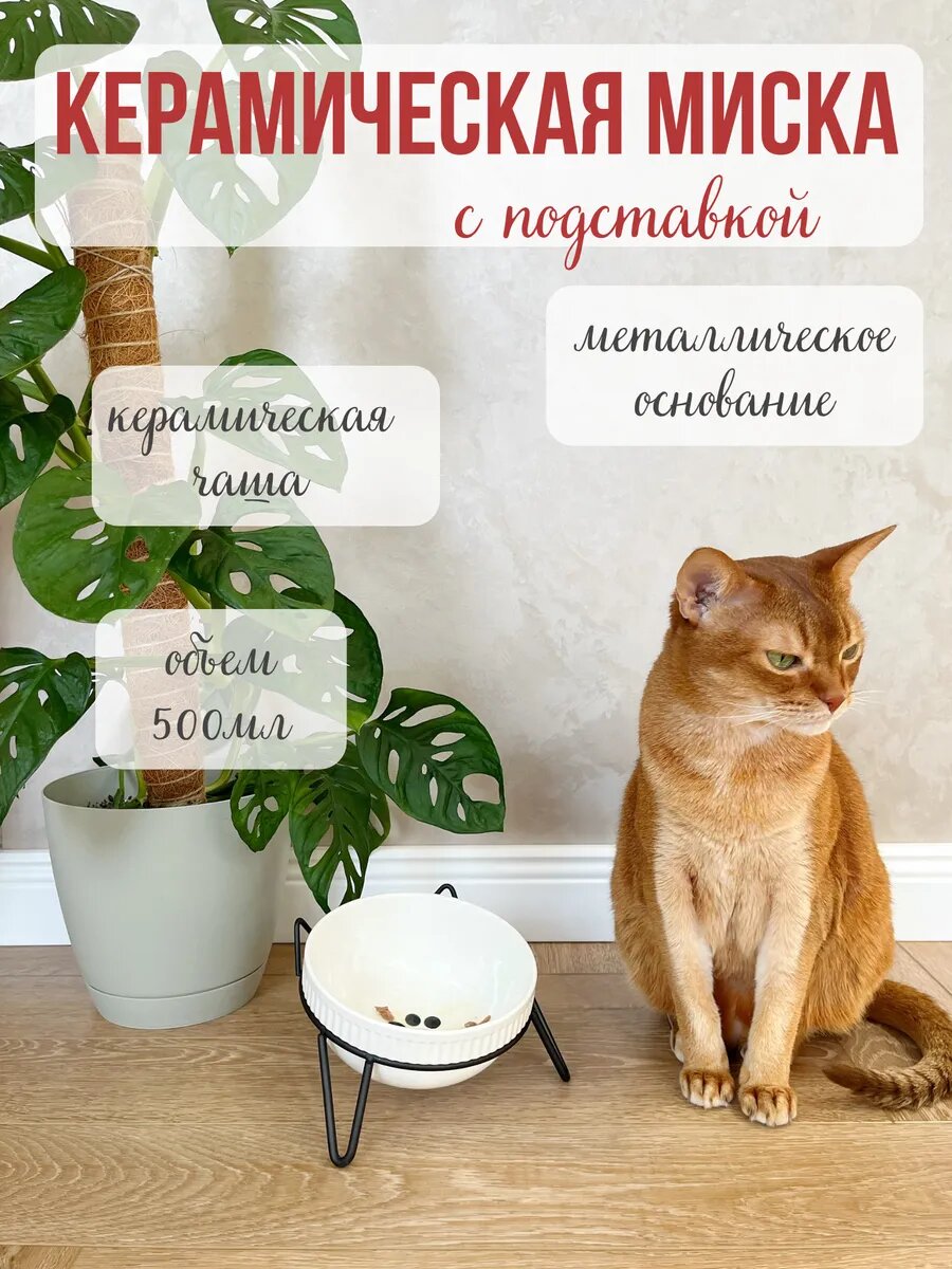 Миска керамическая большая для кошек и собак на подставке с ушками