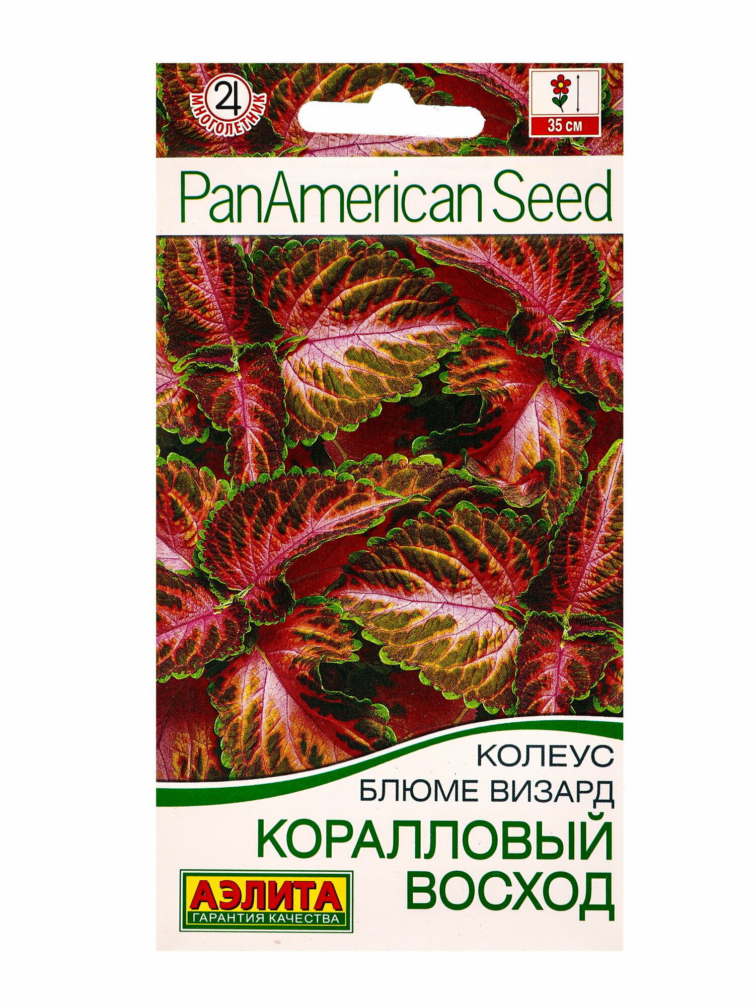 Семена цветов Колеус блюме Коралловый восход Мн Спецсерия PanAmerican, Ц/П,5 шт.