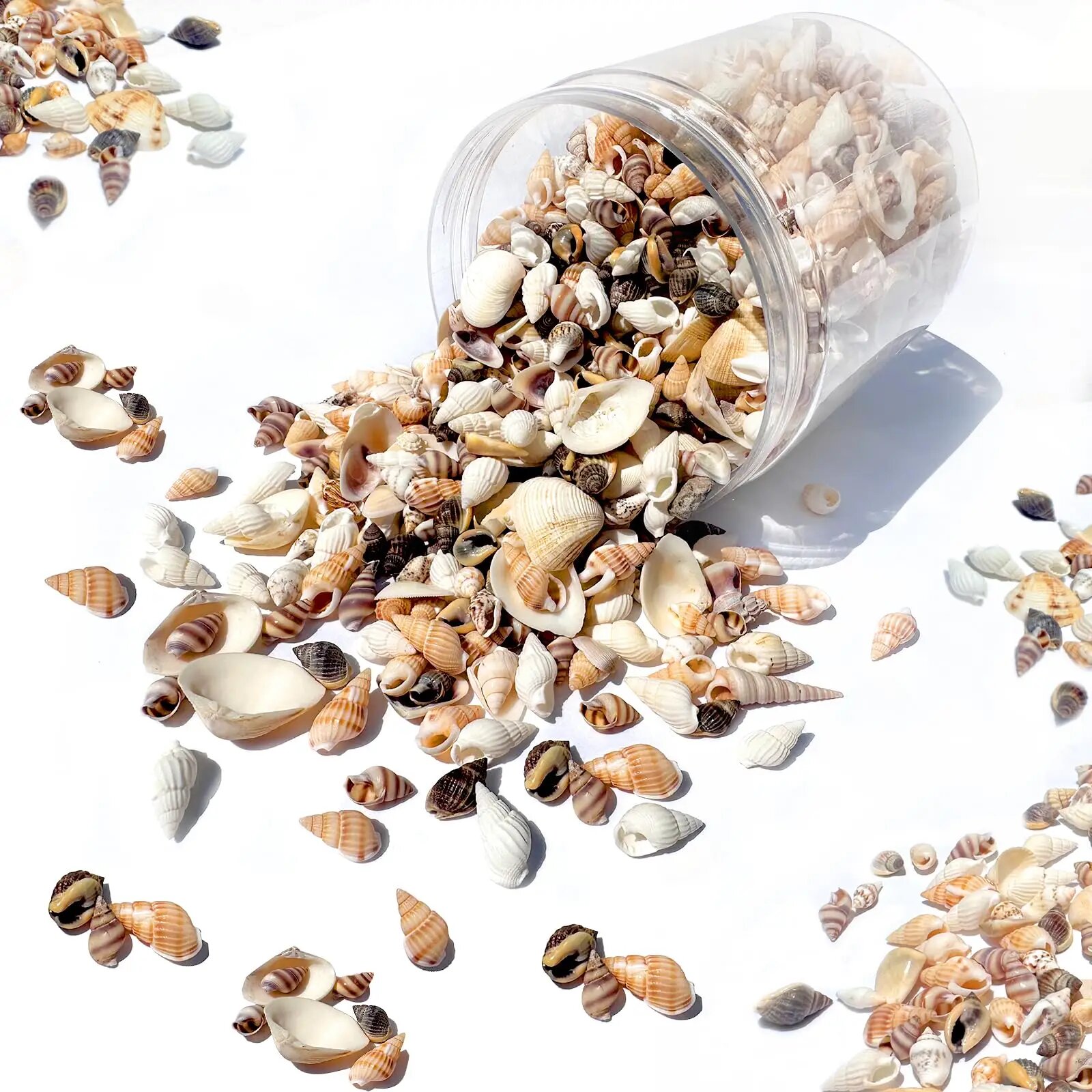 Ракушки миниатюрные для рукоделия, 500 шт, цвет: 500PCS