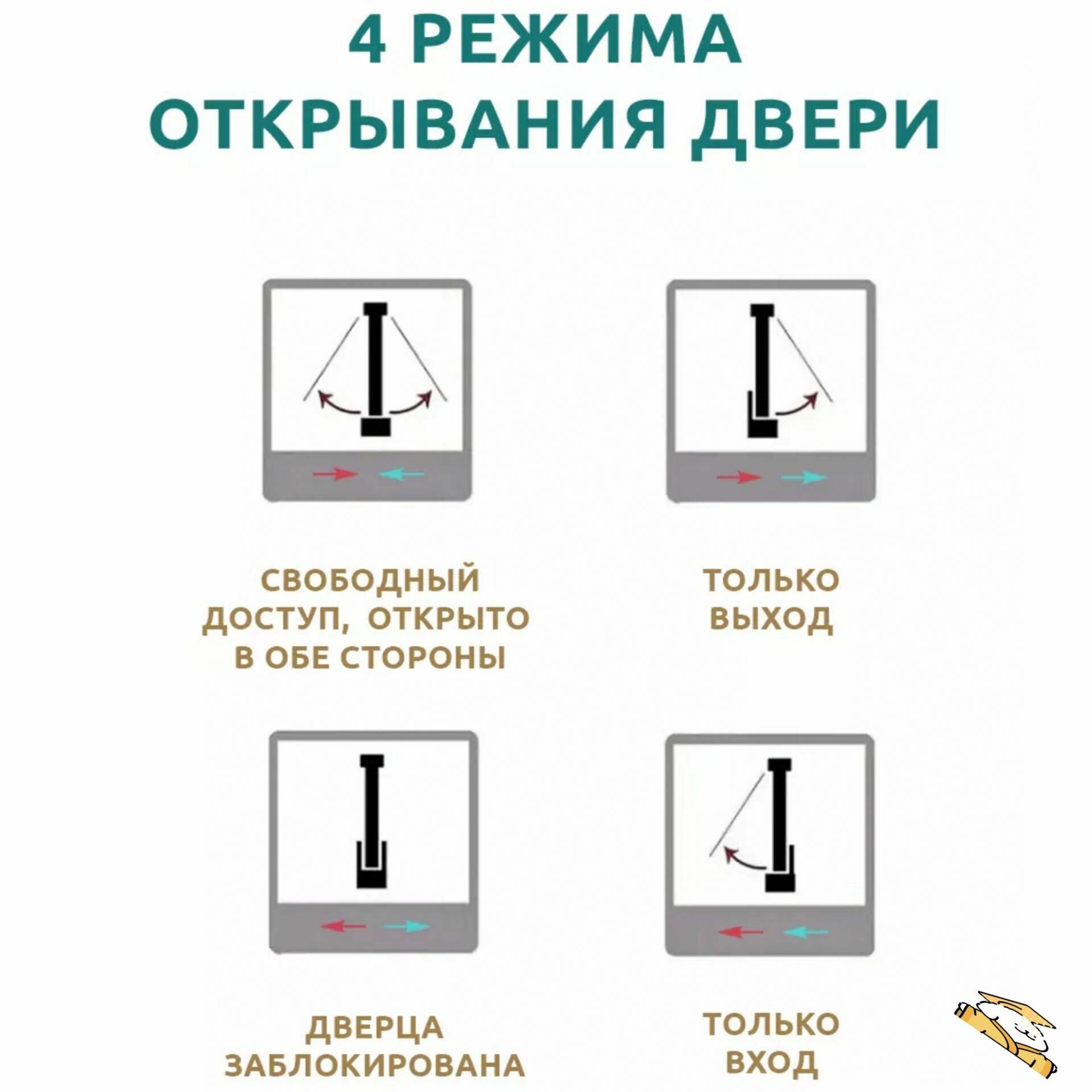 Дверца для животных — фото 1