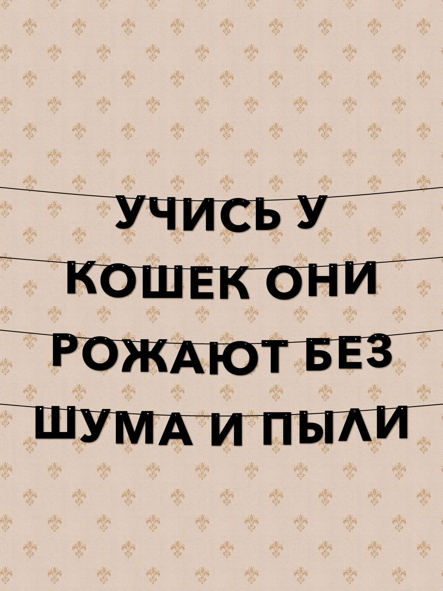 Гирлянда с буквами на веревке учись у кошек они рожают без шума и пыли - идеальное украшение для детского праздника, высота букв 10 см, толщина букв 1 мм, ручная работа.