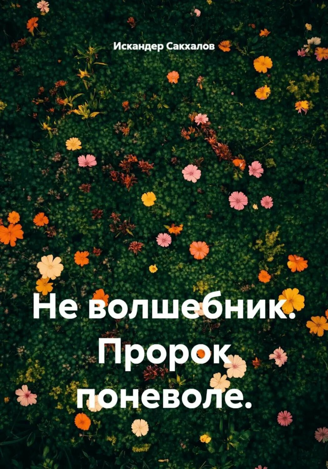 Не волшебник. Пророк поневоле [Цифровая книга]