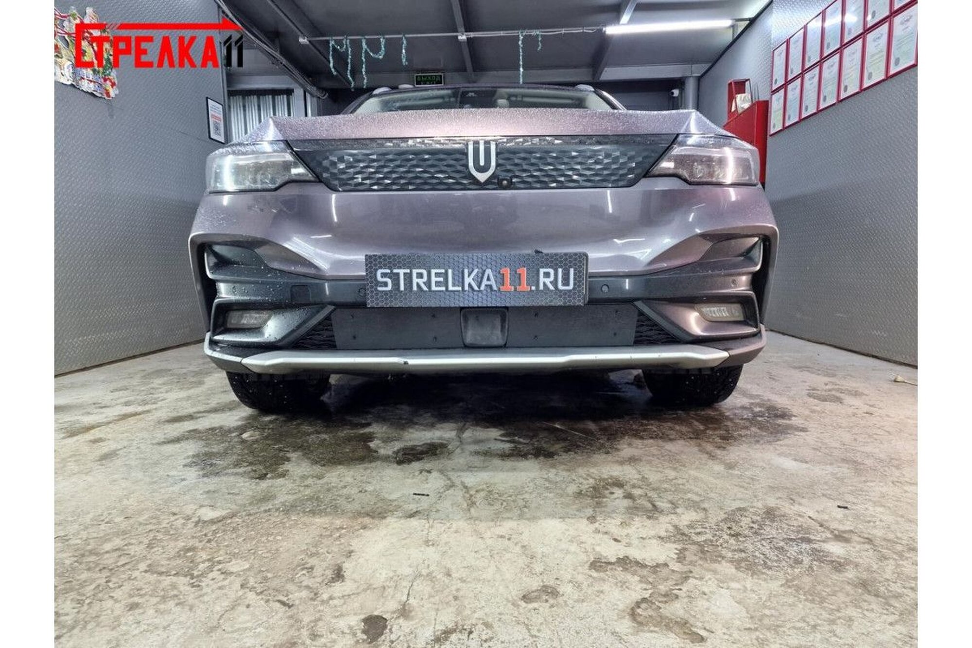 Зимняя защита радиатора на стяжках для SKYWELL ET5 2020-2023 (I), 2шт