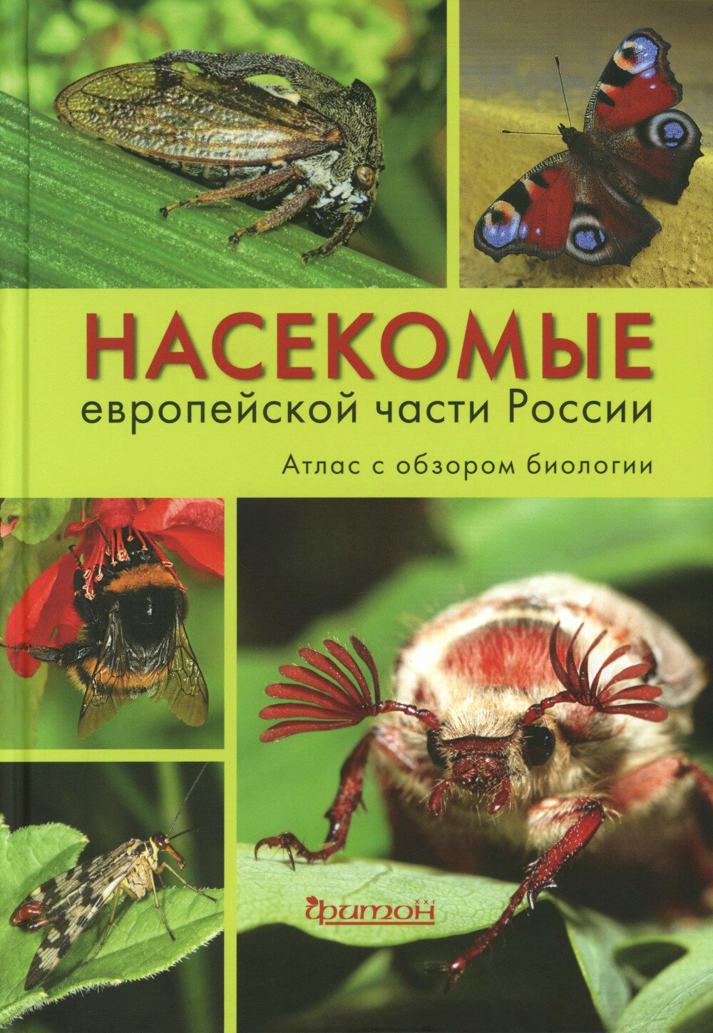 Насекомые средней полосы России. Атлас с обзором биологии. 2-е изд, перераб. и доп. Карцев В. М, Ахатов А. К, Березин М. В.
