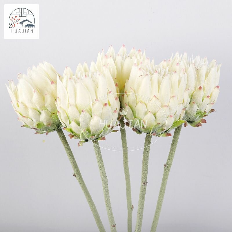 Искусственные цветы