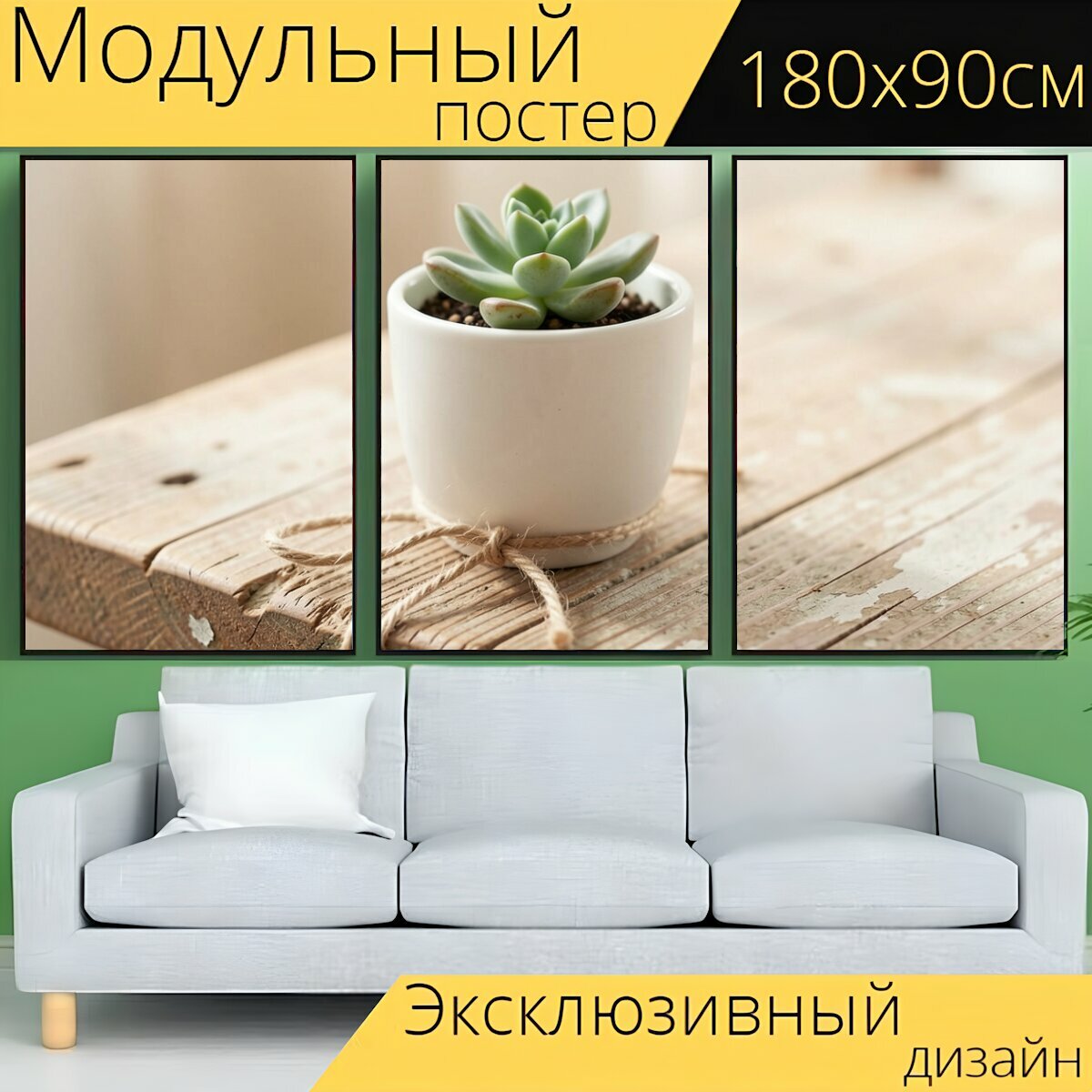 Модульный постер "Суккулент в белом горшке. Нежная композиция с миниатюрным комнатным растением в матовом кашпо, на состаренной." 180 x 90 см. для интерьера на стену в тубусе