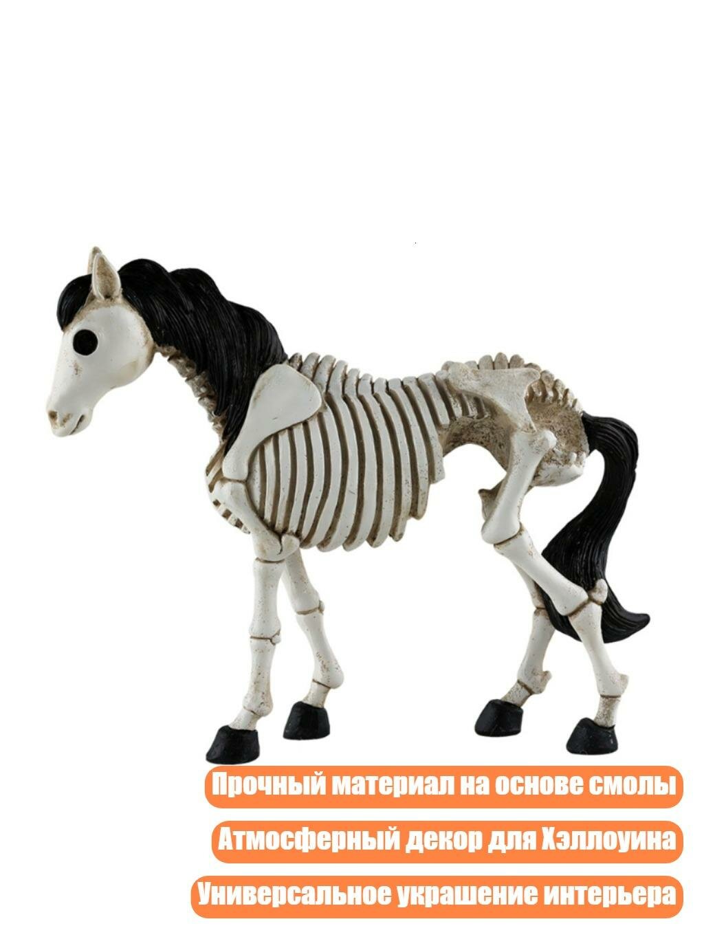Скелет лошади из смолы, Череп Лошади