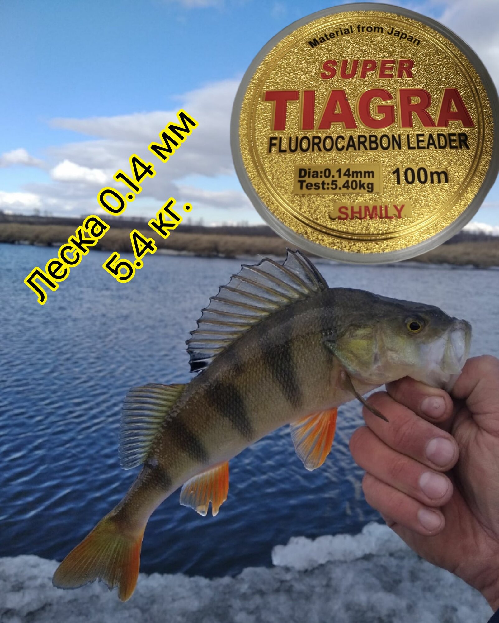 Леска для рыбалки флюрокарбон . 0,14 TIAGRA SUPER 100 метров