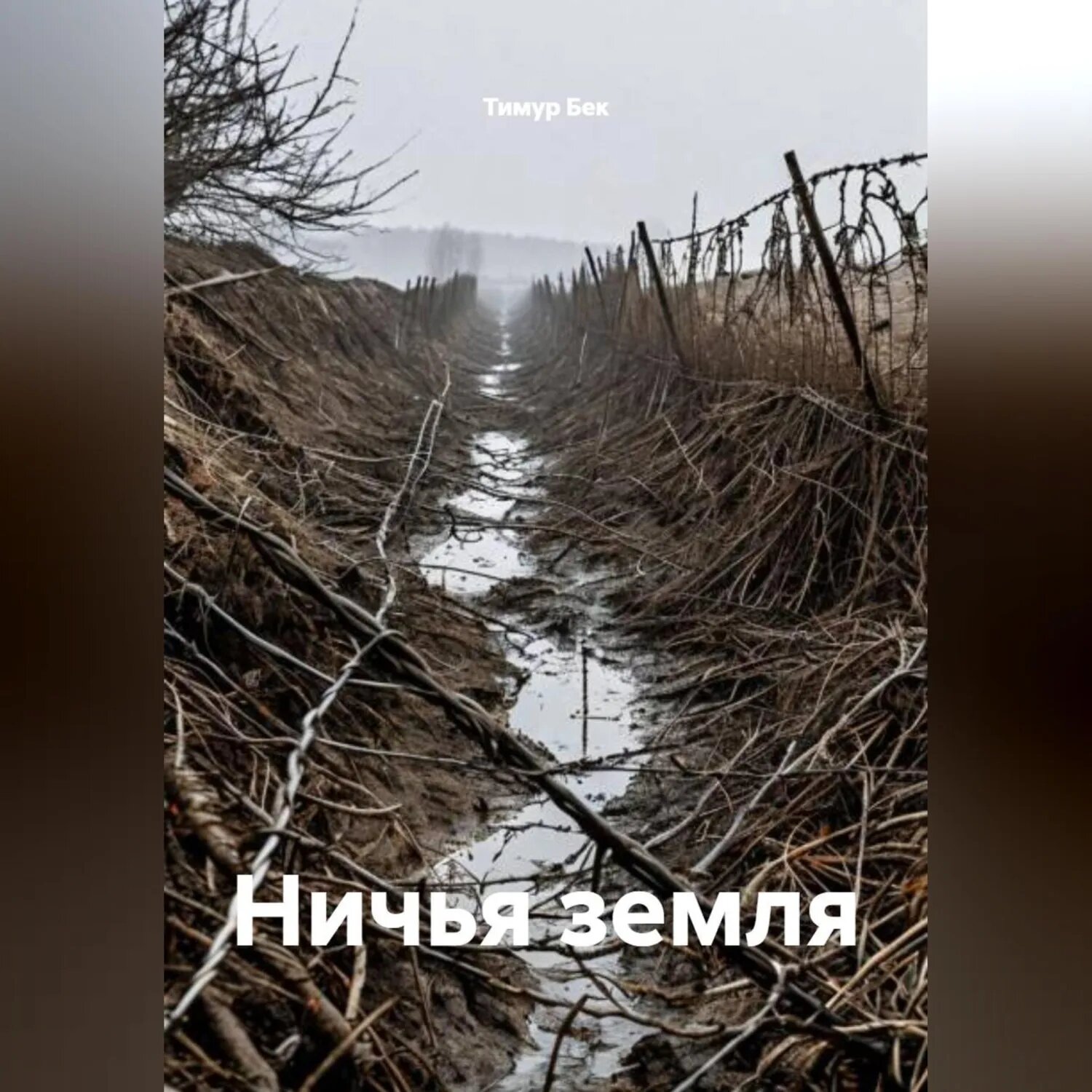 Ничья земля [Аудиокнига]
