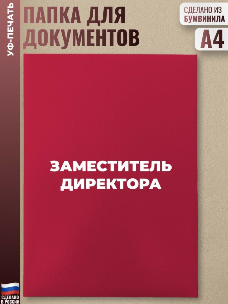 Красная папка "Заместитель директора"