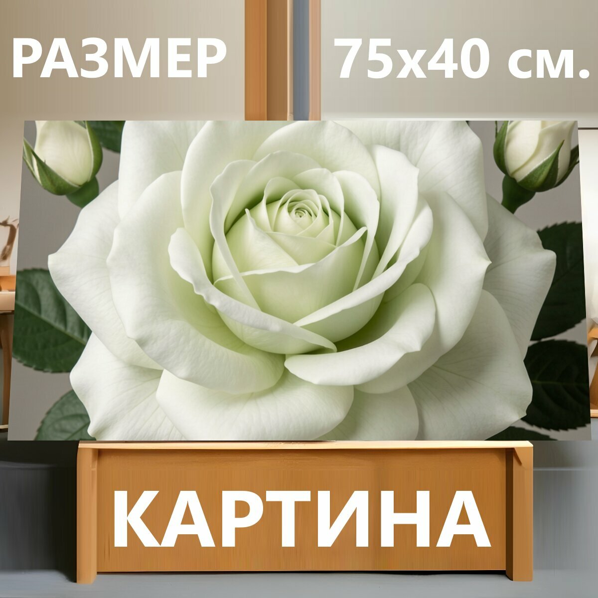 Картина на холсте "Белая роза с бутонами. Нежный цветочный сюжет с крупным кремово-белым соцветием и несколькими нераскрытыми бутонами, сочная." на подрамнике 75х40 см. для интерьера