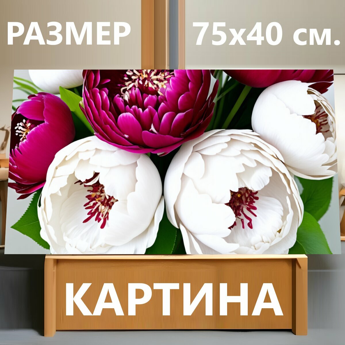 Картина на холсте "Букет пионов в белом и бордовом цветах, крупные, яркие цветы, с большими нежными лепестками, на белом фоне." на подрамнике 75х40 см. для интерьера