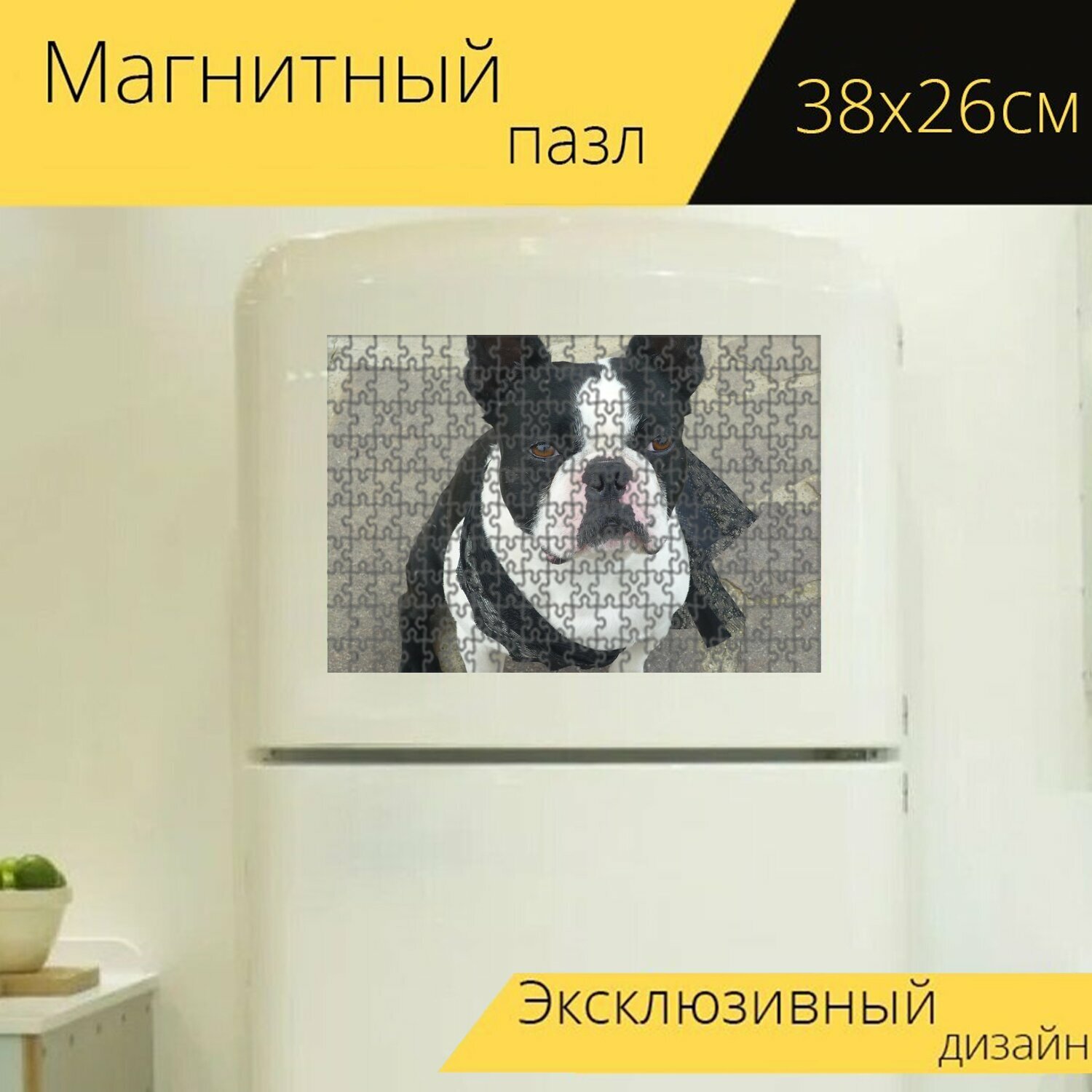 Магнитный пазл "Собака, бостон терьер, французский бульдог" для интерьера, 38х26 см.