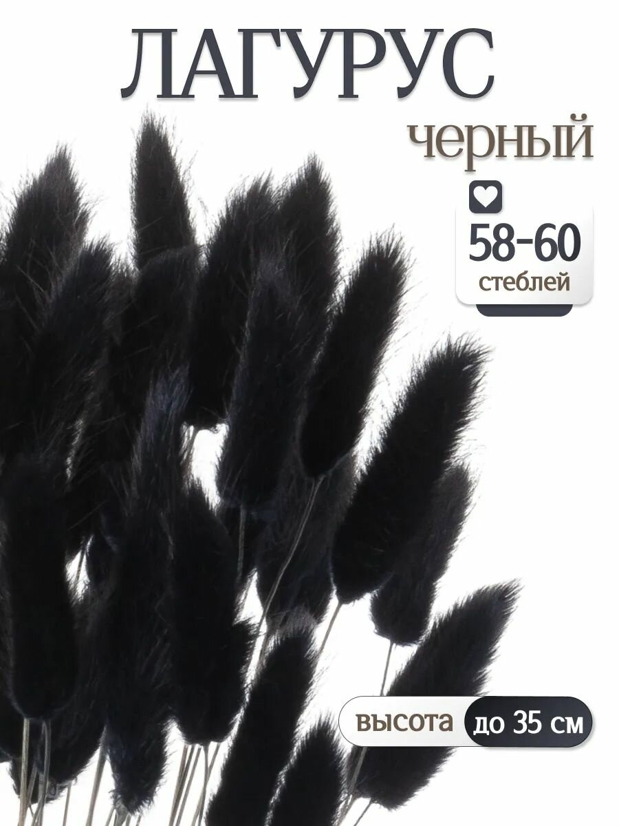 Трава черного кролика хвоста 60 таблеток-Featured cross-border