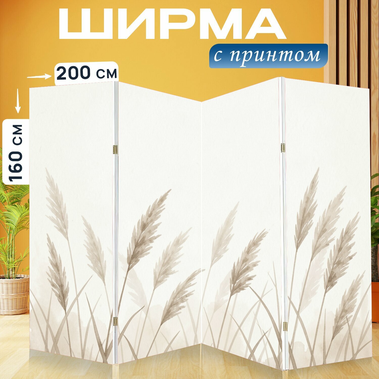 Ширма "Нежные колосья в минимализме. Светлая ботаническая композиция с высокими злаками и мягкими метёлками." перегородка для зонирования комнаты с принтом 200x160 см. на холсте