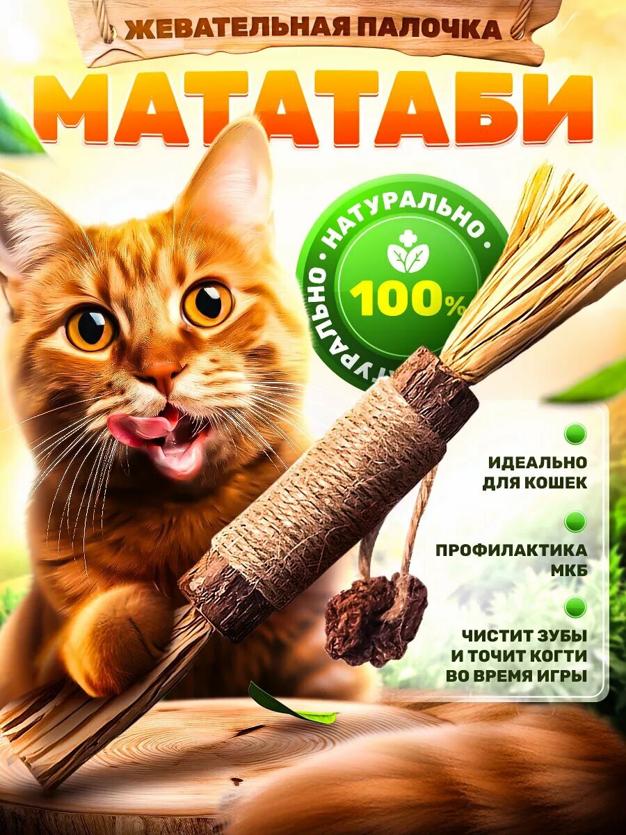 Игрушка для кошек мататаби с мятой 2в1