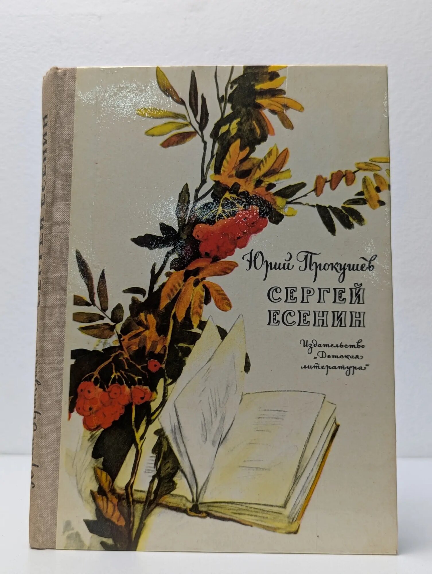 Сергей Есенин. Очерк жизни и творчества Прокушев Юрий Львович 1976