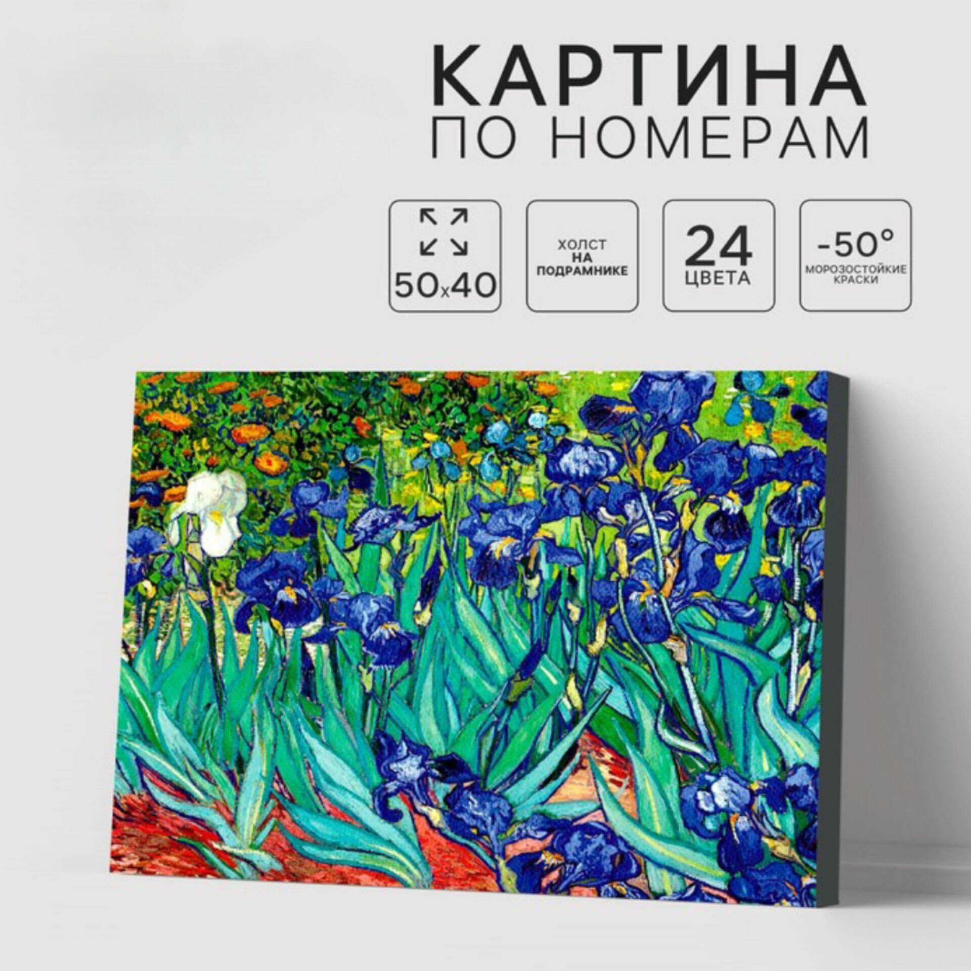 Картина по номерам на холсте с подрамником 40х50 см, Школа талантов, "Ирисы", набор для творчества