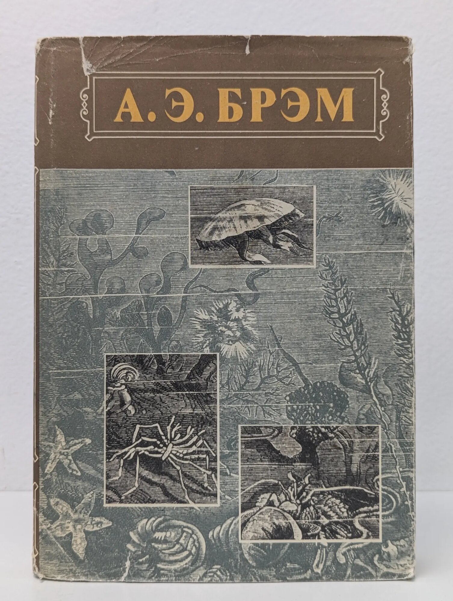Жизнь животных. В 3 томах. Том 3. Пресмыкающиеся. Земноводные. Рыбы. Беспозвоночные Брэм Альфред Эдмунд 1992