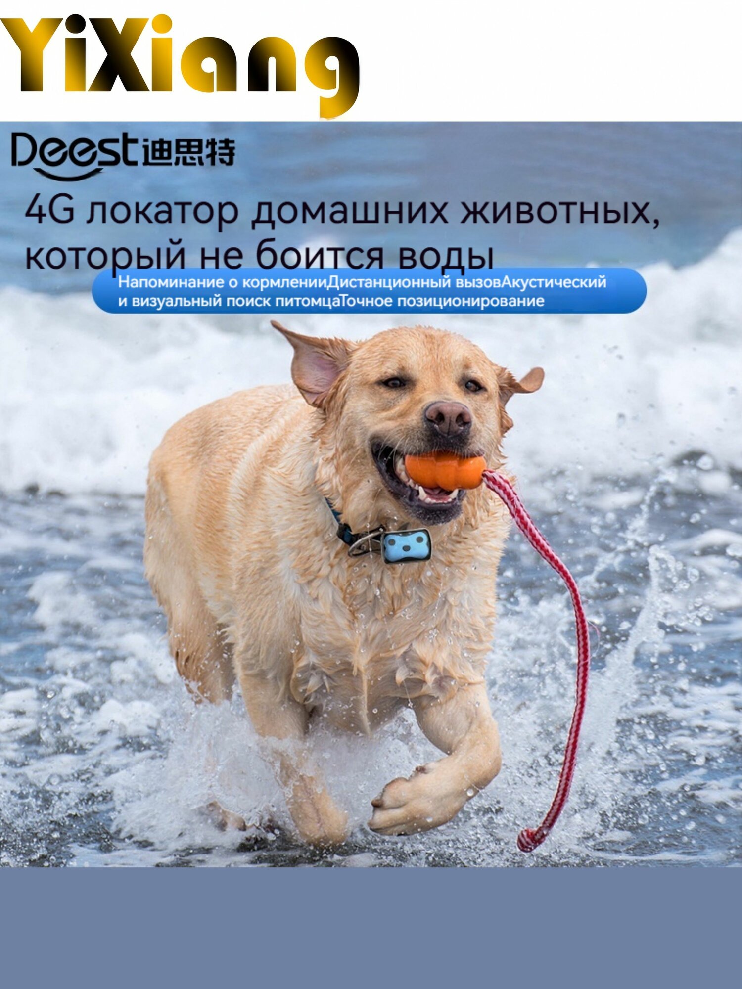 Портативный GPS/Wi-Fi локатор для домашних животных, ошейник для кошек и собак, синий цвет