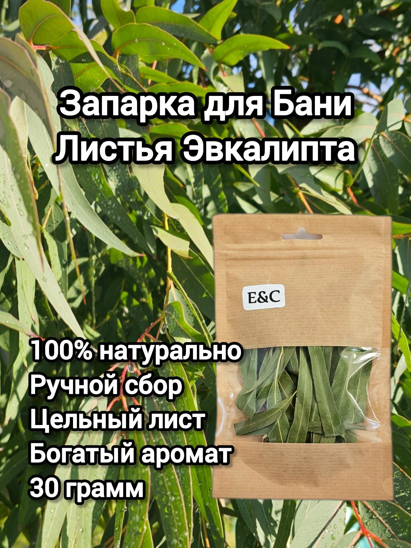 Запарка для бани