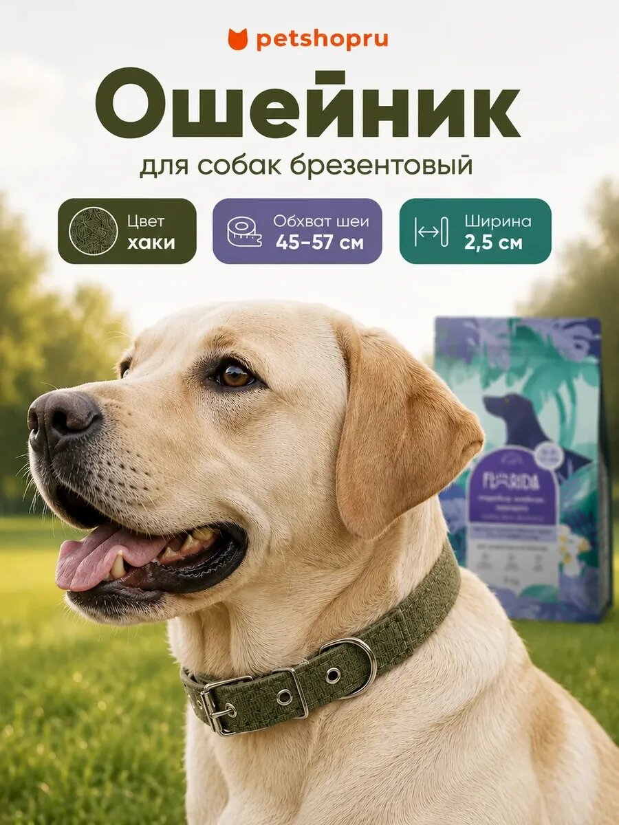 Yami Yami амуниция Ошейник брезентовый для собак, 2 слоя, 45-57 см
