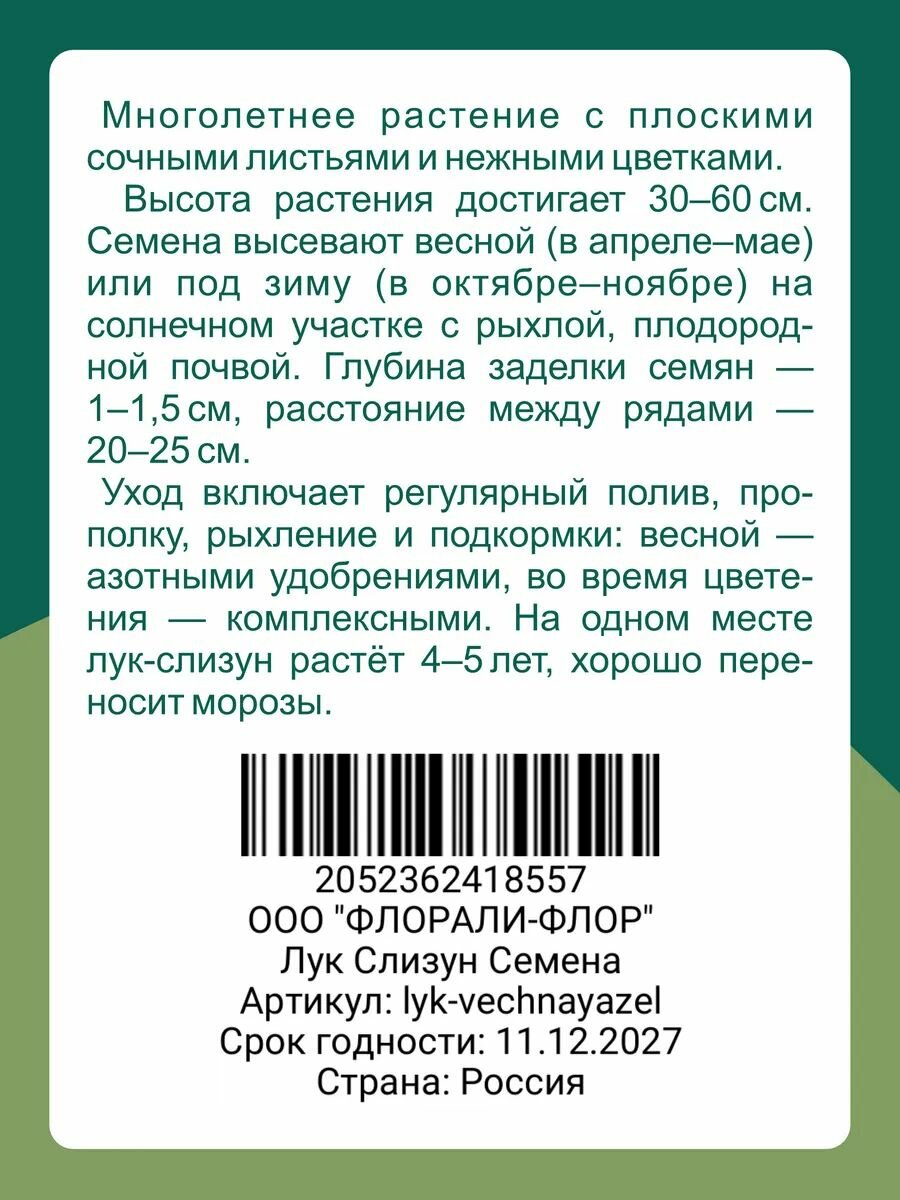 Лук Слизун Семена — фото 1