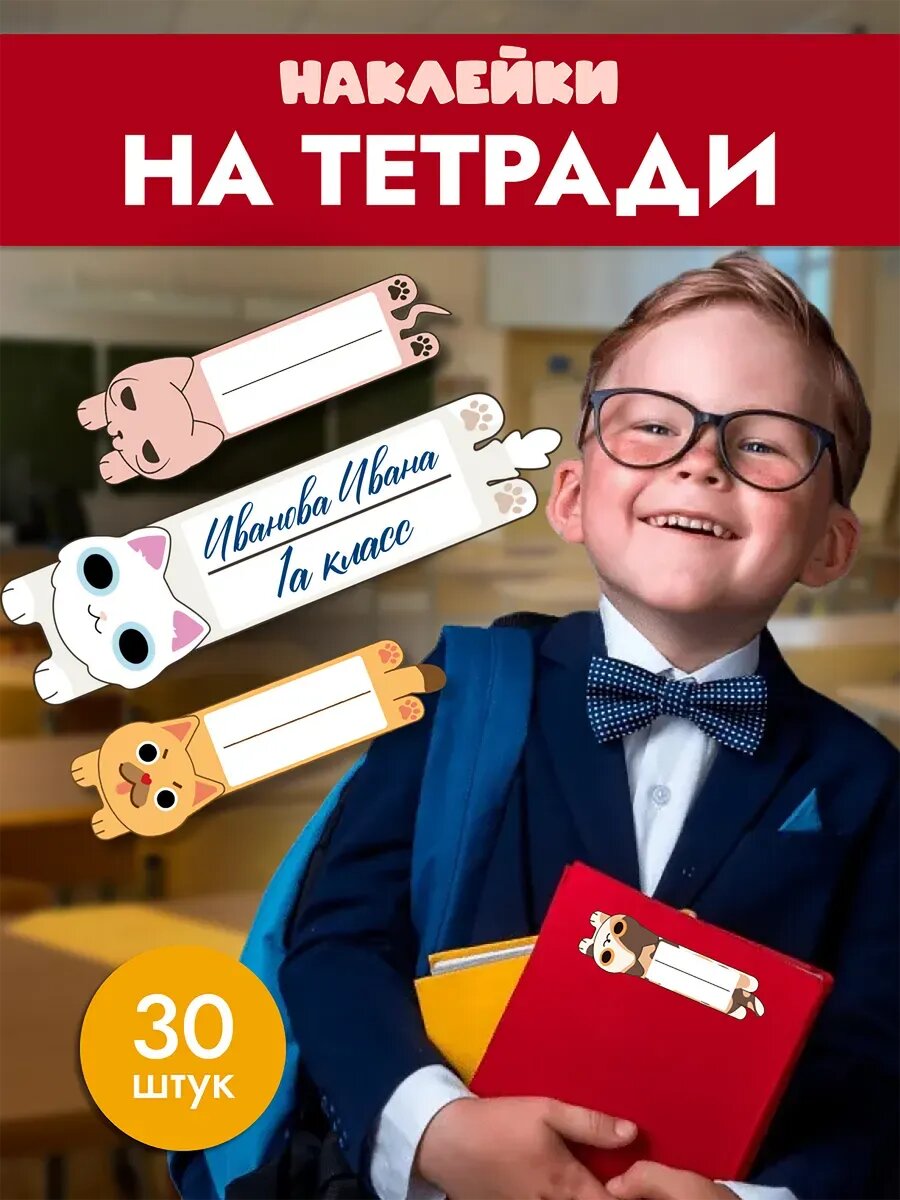Наклейки маркировочные на тетради 30 штук