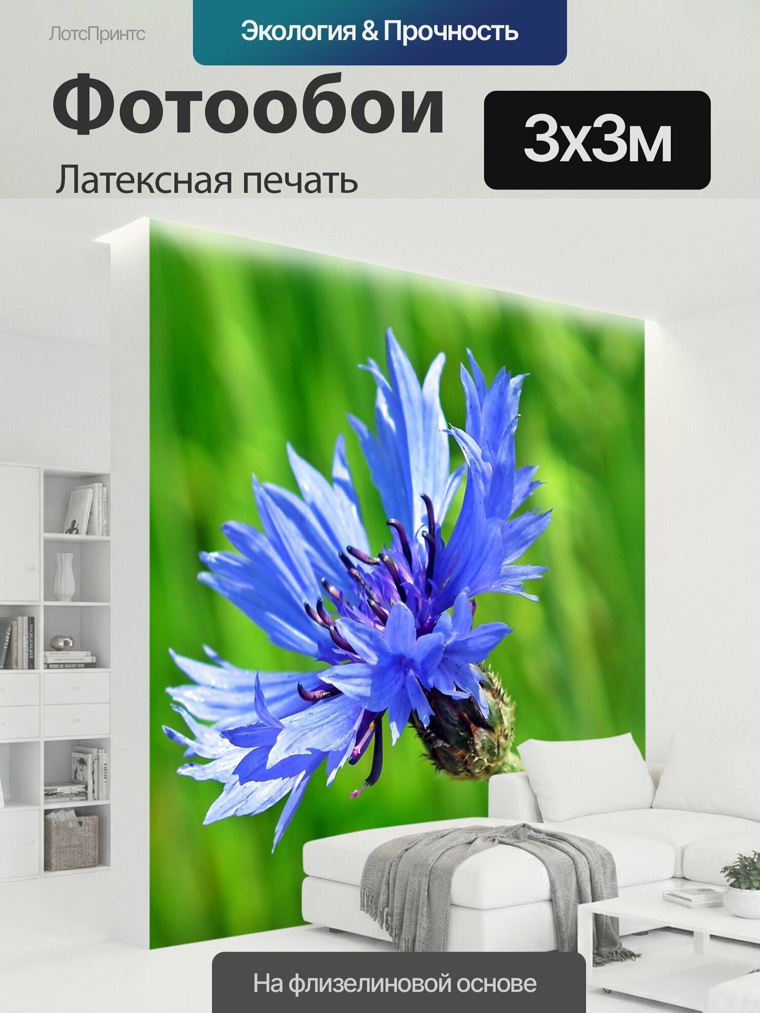 Фотообои моющиеся ударопрочные "Васильки, цветы, синий" 300x300 см. латексная печать
