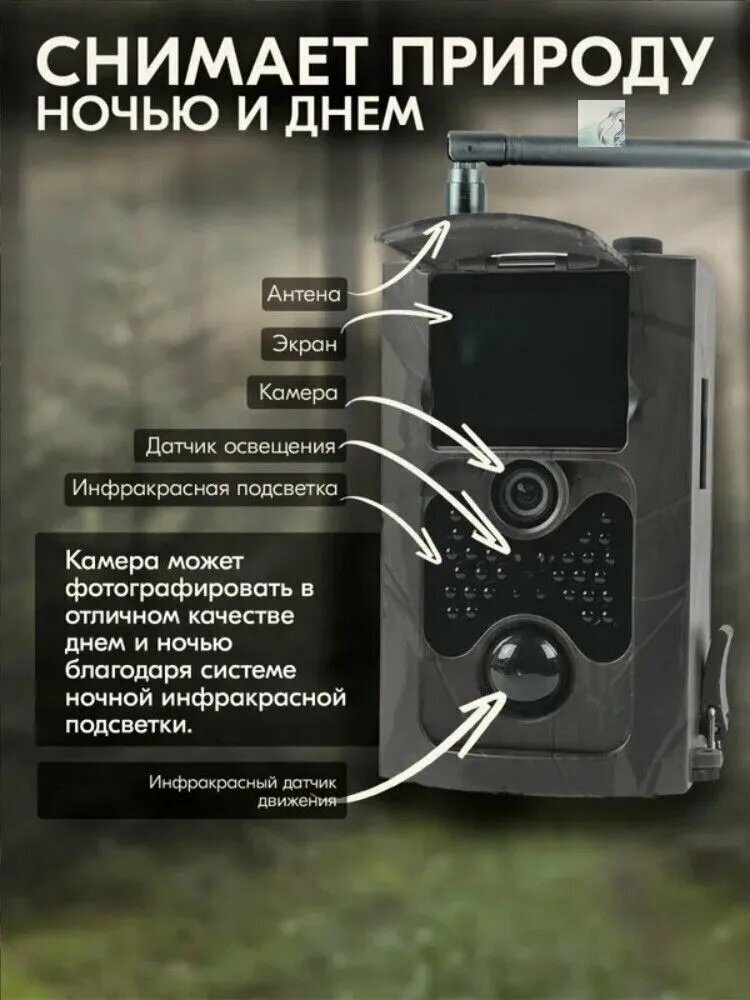 Фотоловушка — фото 1