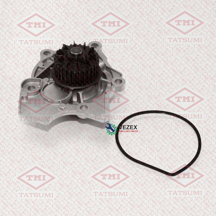 TATSUMI TGF1080 Насос водяной
